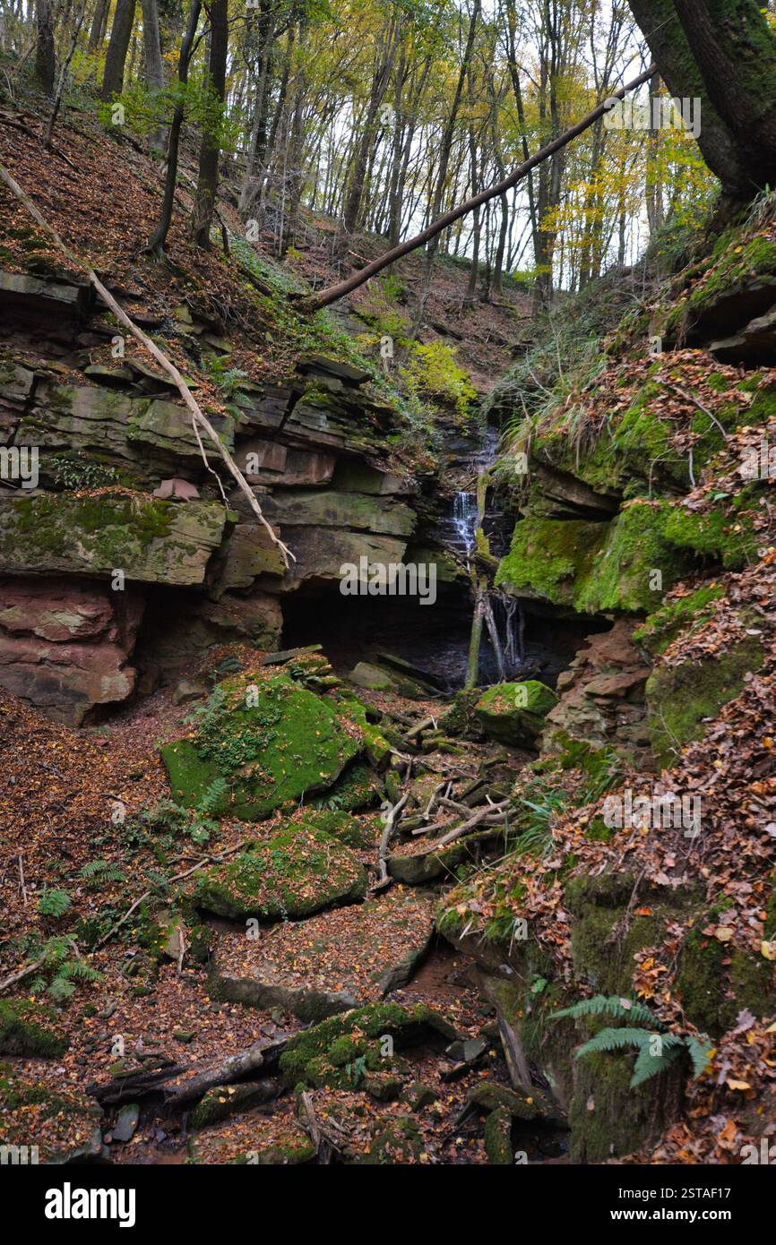 Beautiful rocky forest landscape at the Margaret Gorge in Neckargerach ...