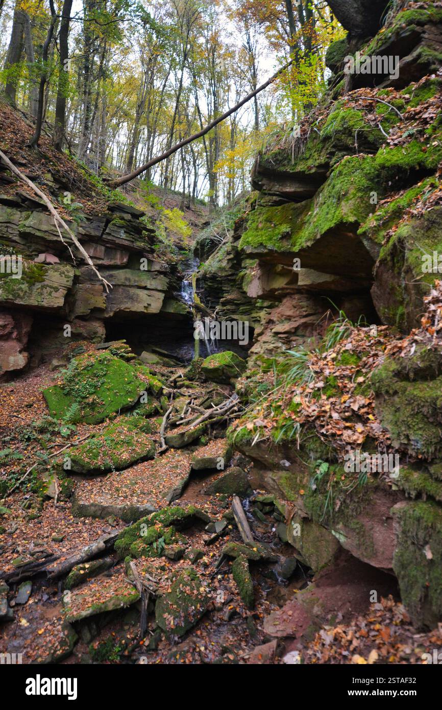 Beautiful rocky forest landscape at the Margaret Gorge in Neckargerach ...