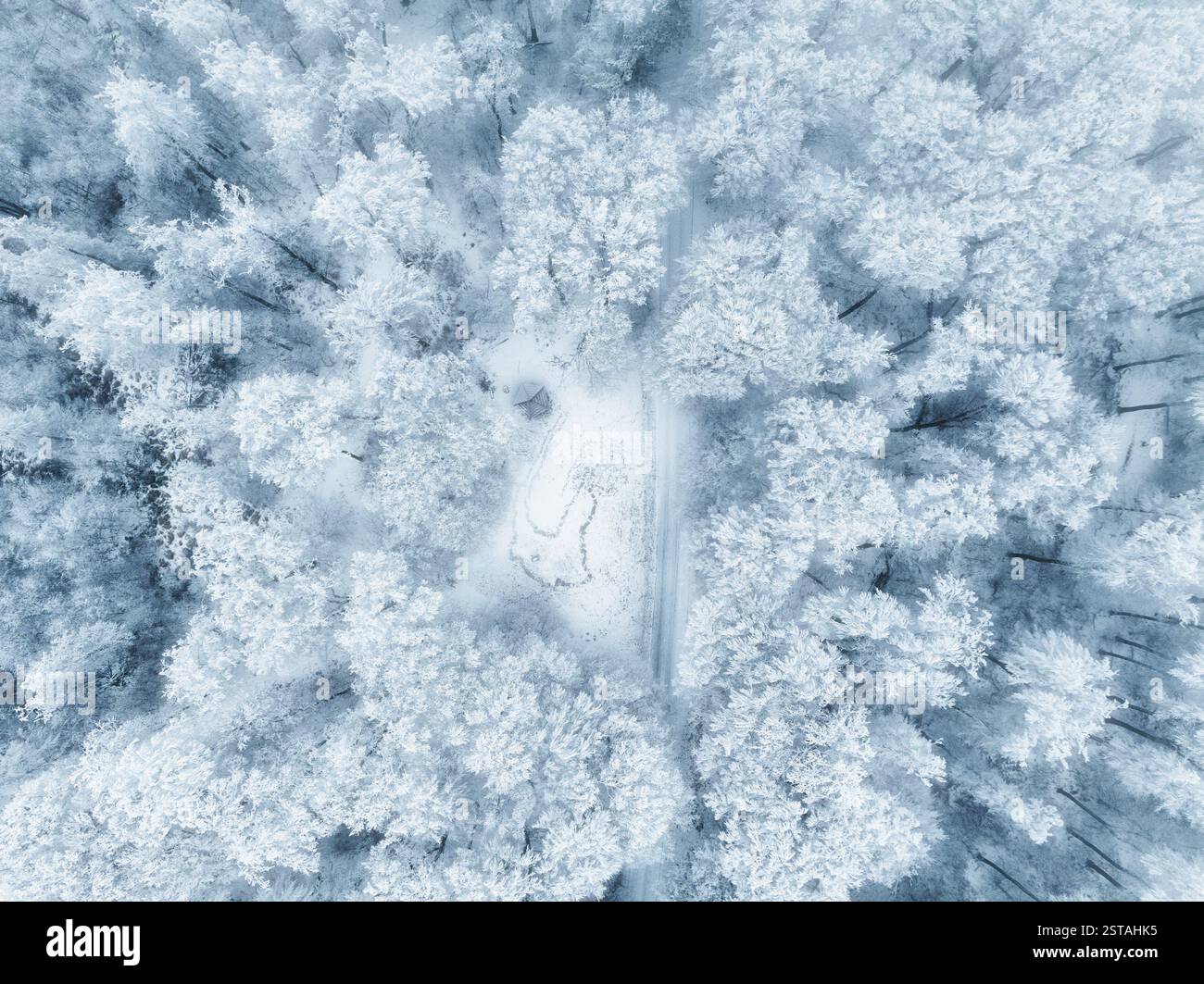 Flying above frozen snowy forest hi-res stock photography and images ...
