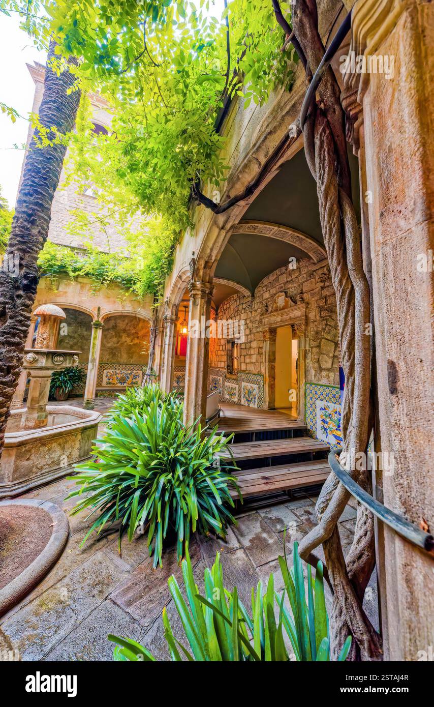 Inner courtyard of Cathedral of the Holy Cross. Barcelona. Spain Stock ...