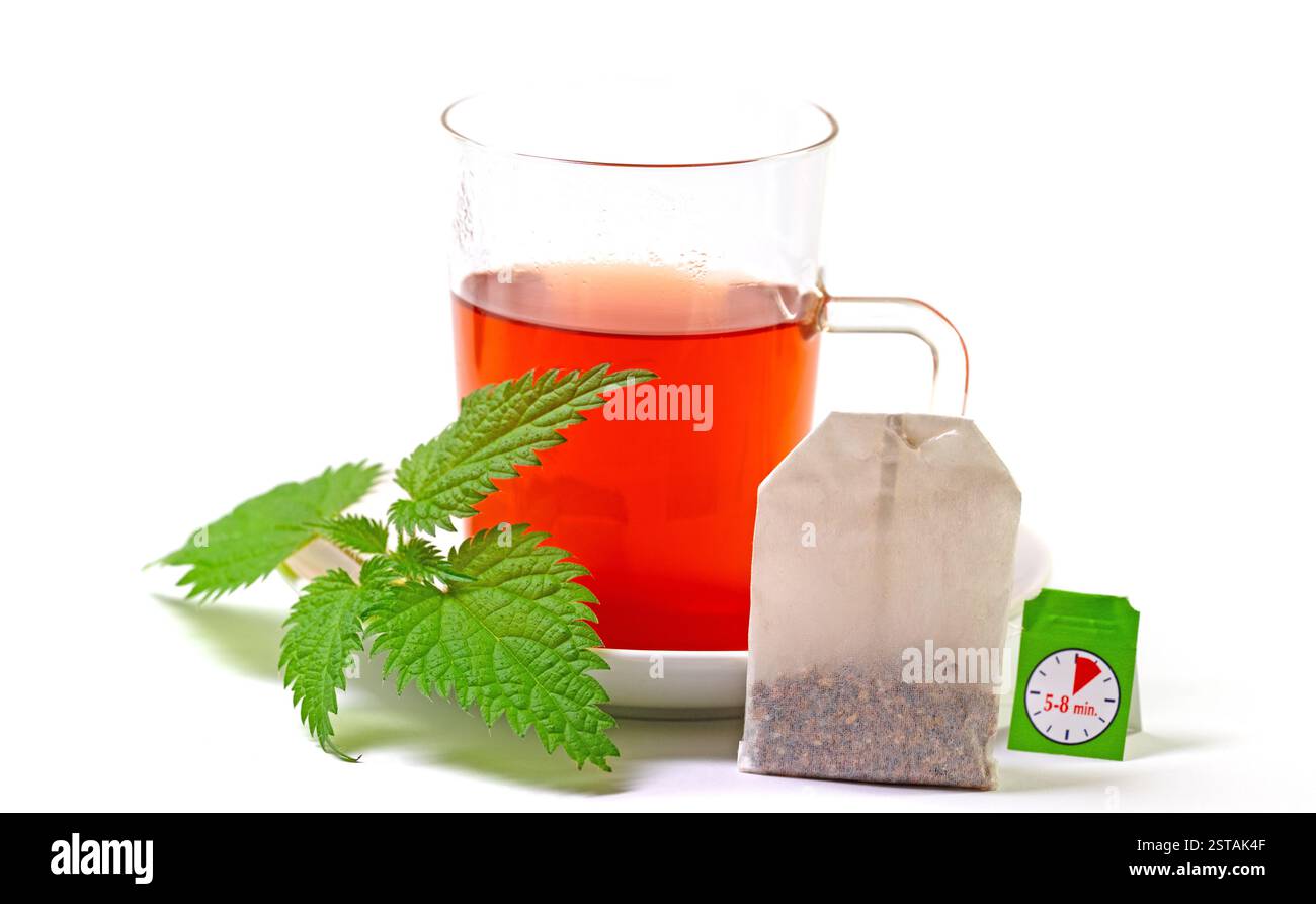 Nettle medicinal plant tea Cut Out Stock Images & Pictures - Alamy