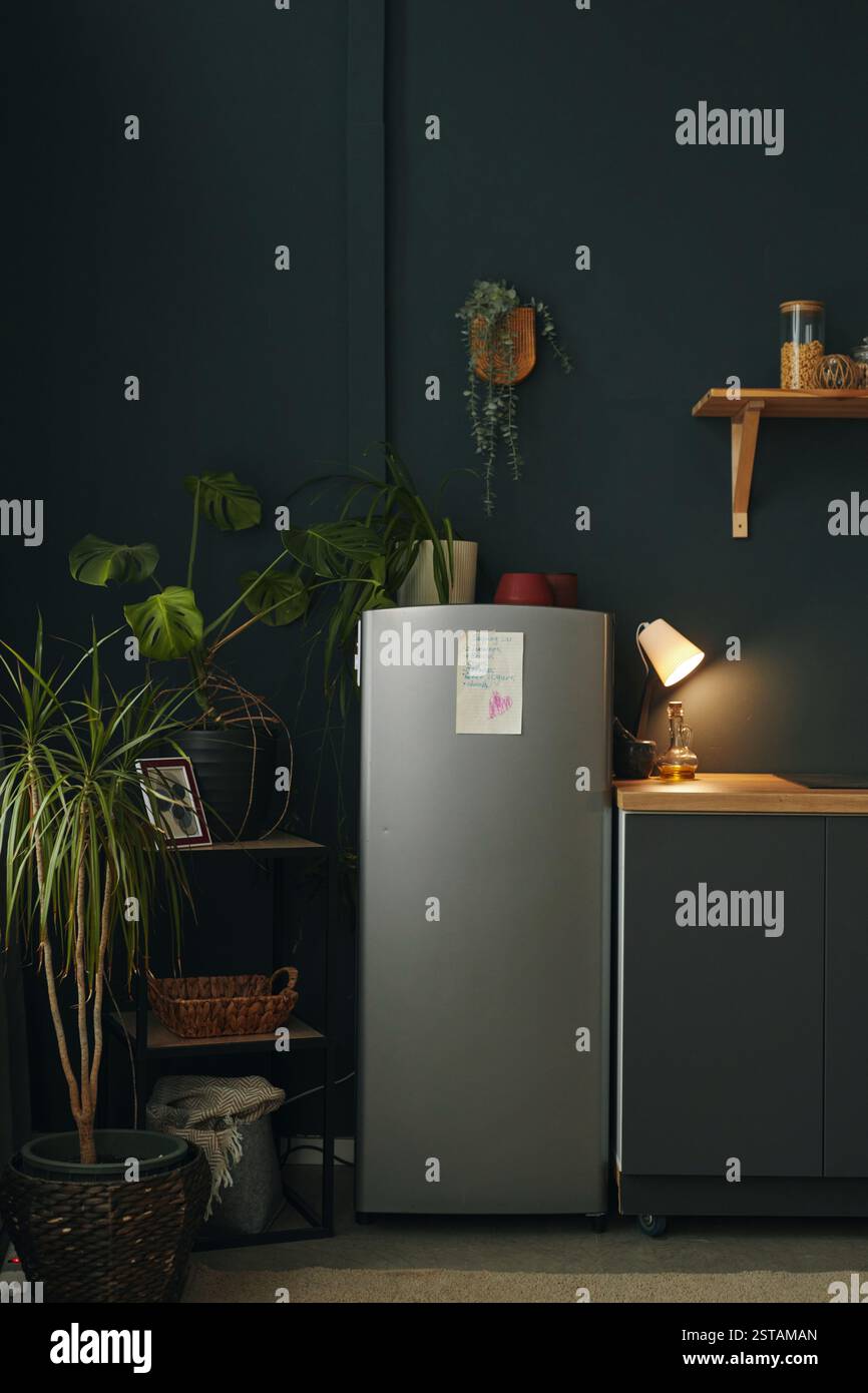 Modern Kitchen Displaying Plants, Refrigerator, and Lighting Stock ...