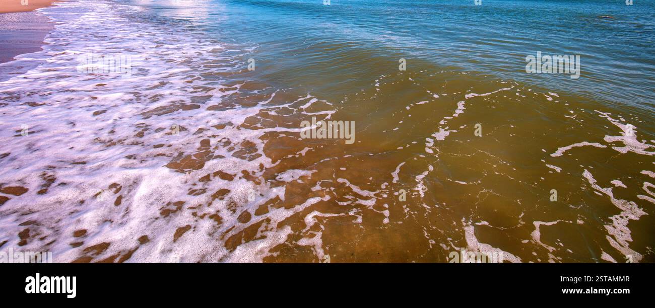 Transparent sea water shore summertime hi-res stock photography and ...