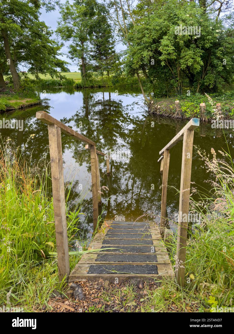 A small wooden jetty into a tranquil swimming pond, nestled among lush ...