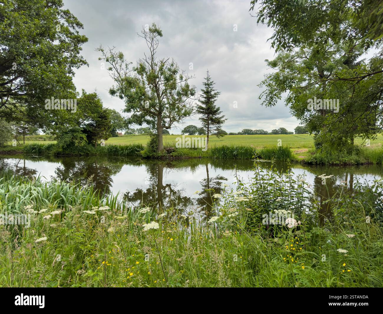 Trees reflecting in still water hi-res stock photography and images - Alamy