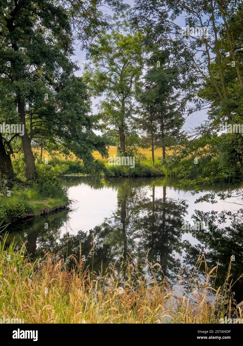 Chalonder Pond in summer with trees that line the bank reflected on the ...