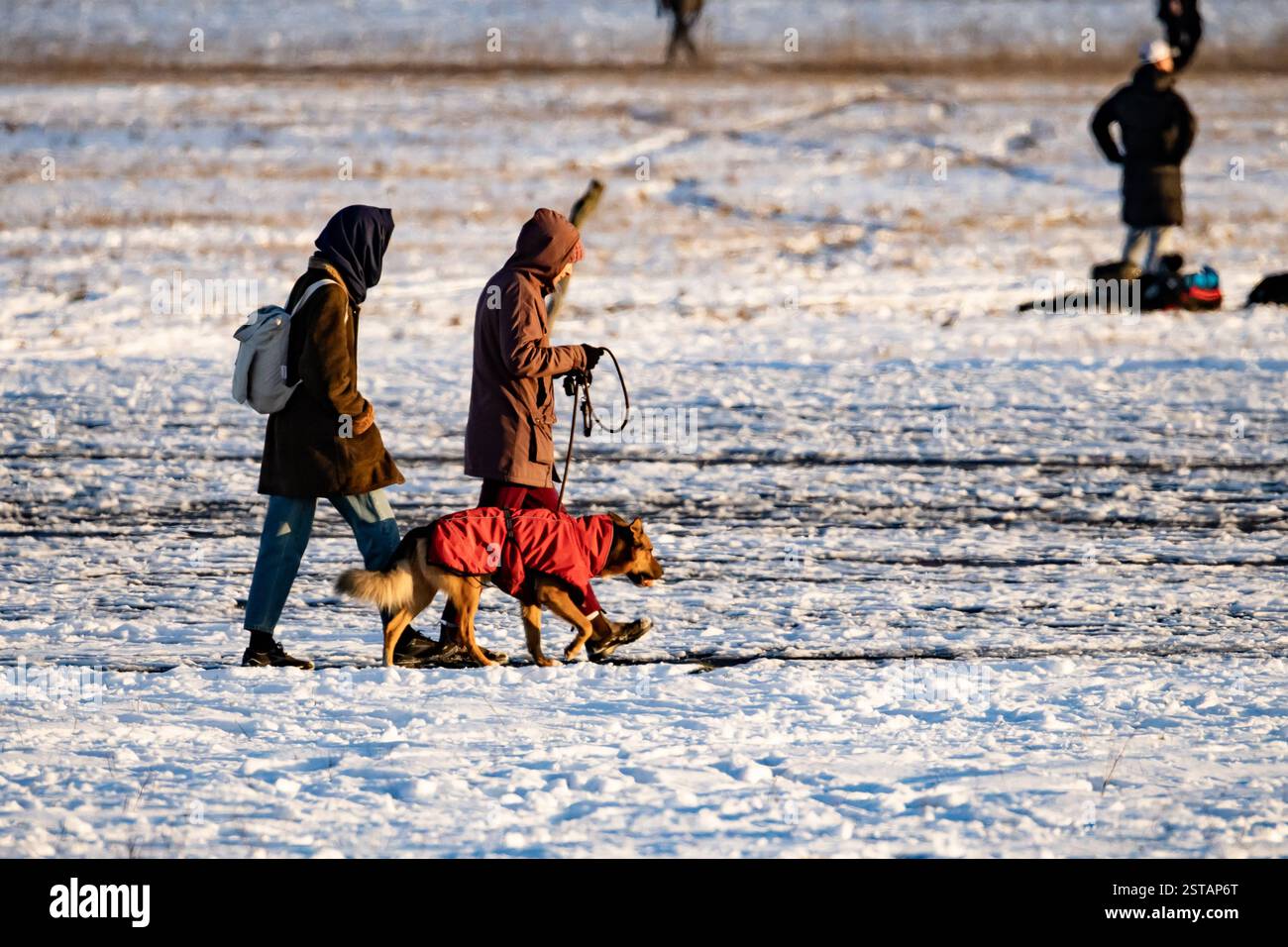 Menschen an einem sonnigen Wintertag im Tempelhofer Feld in Berlin am ...