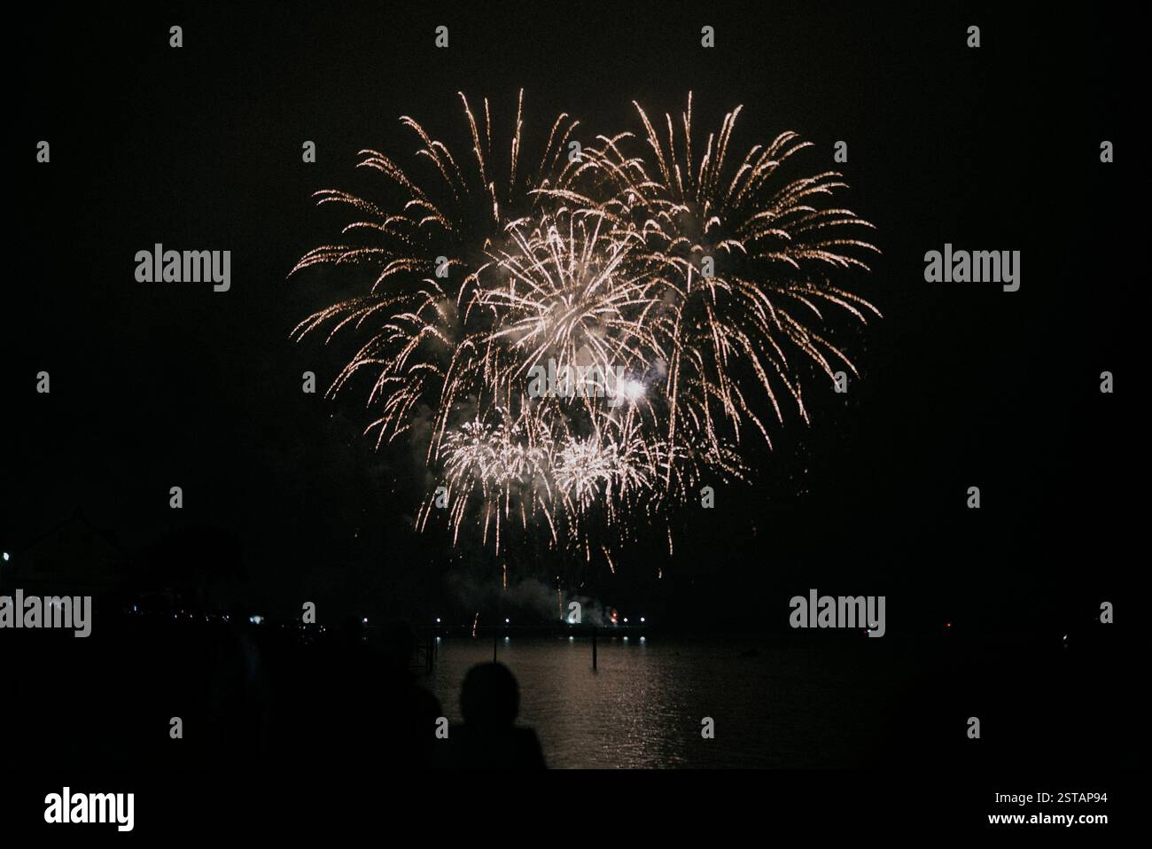 A fireworks display is lit up in the night sky. The fireworks are in ...