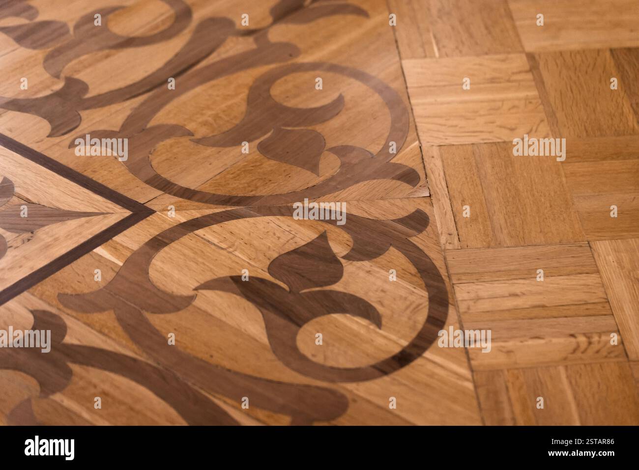 Parquet flooring texture hi-res stock photography and images - Alamy