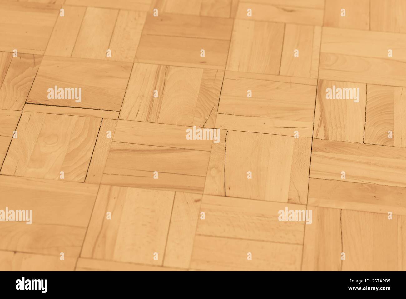 Close-up view of a square-patterned wooden parquet floor with a natural ...