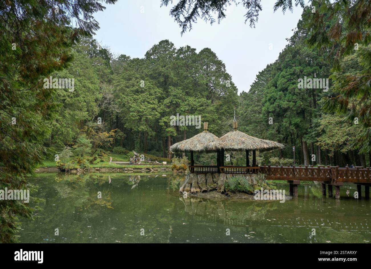 Sister ponds, Alishan National Forest Recreation Area, Alishan Township ...