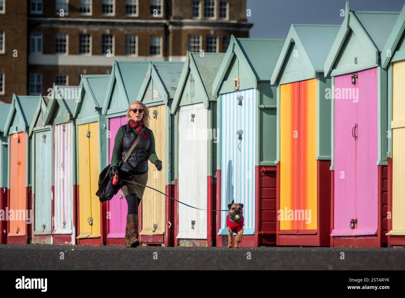 Brighton, February 17th 2025: A dog walker enjoying the bright sunny ...