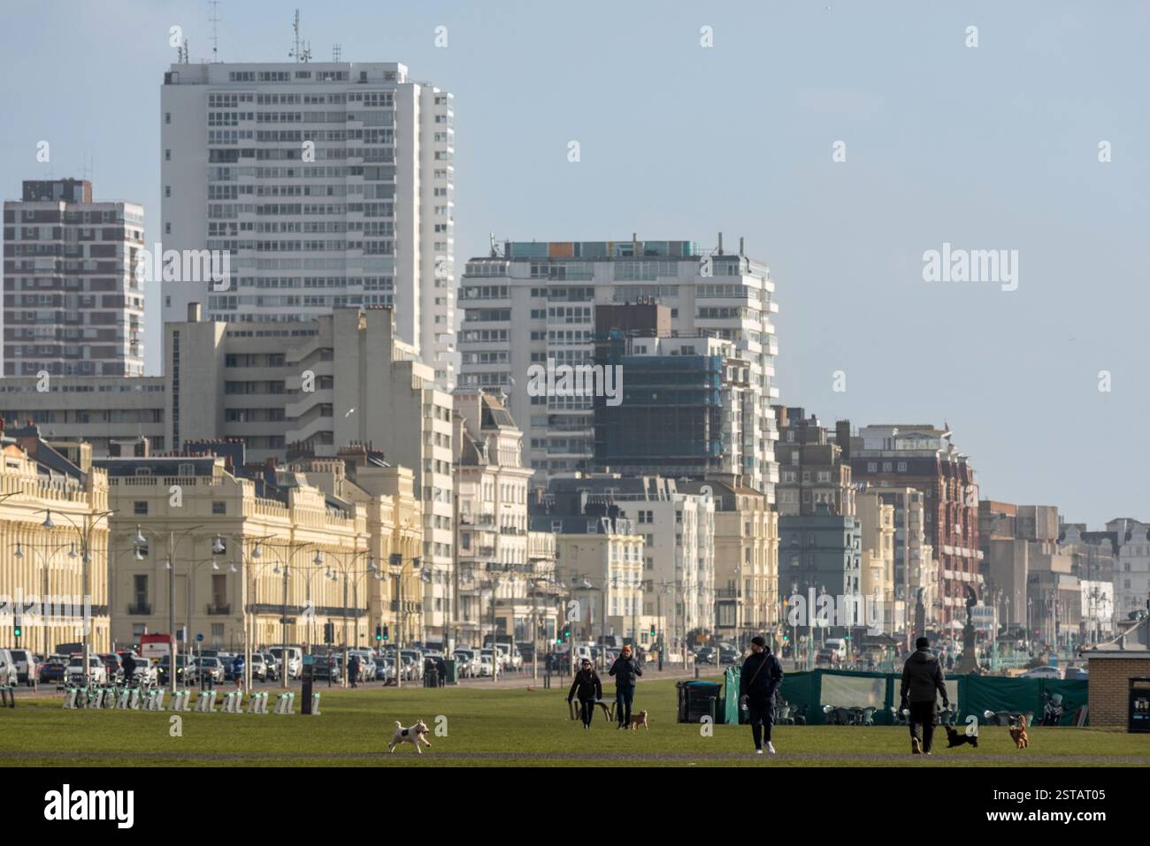 Brighton, February 17th 2025: Dog walkers enjoying the bright sunny ...