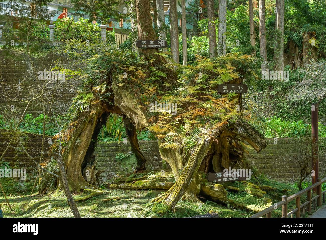 Drei 3 generationen hi-res stock photography and images - Alamy