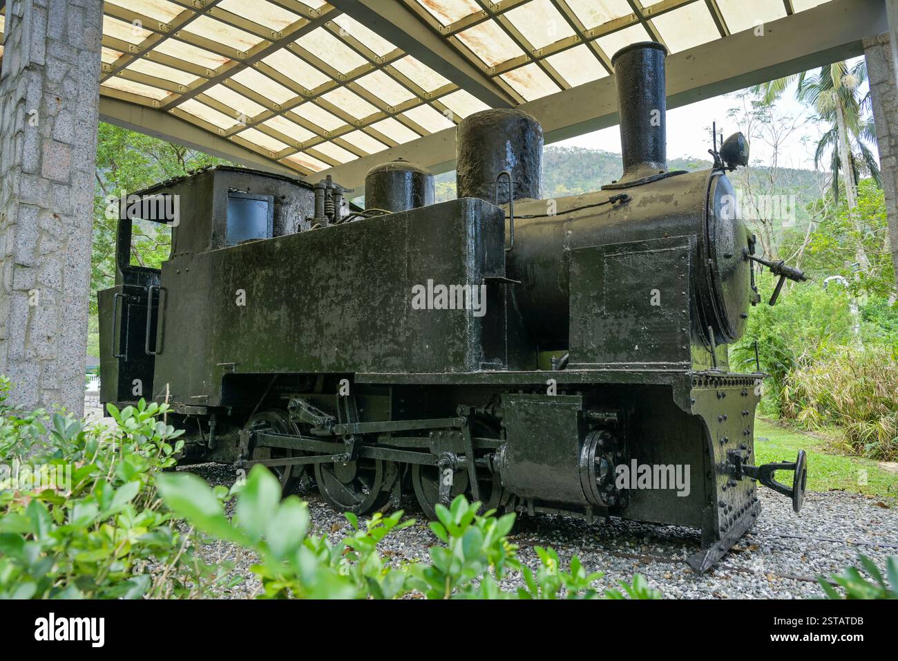 Forest Railway Dampflokomotive, Waldgebiet, Chinan National Forest ...