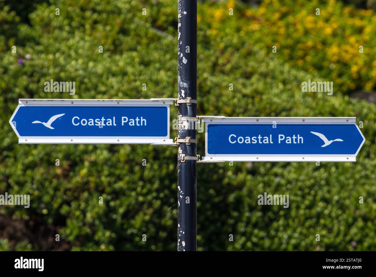 Signposts for the Coastal Path on the Isle of Wight in the UK. The Isle ...