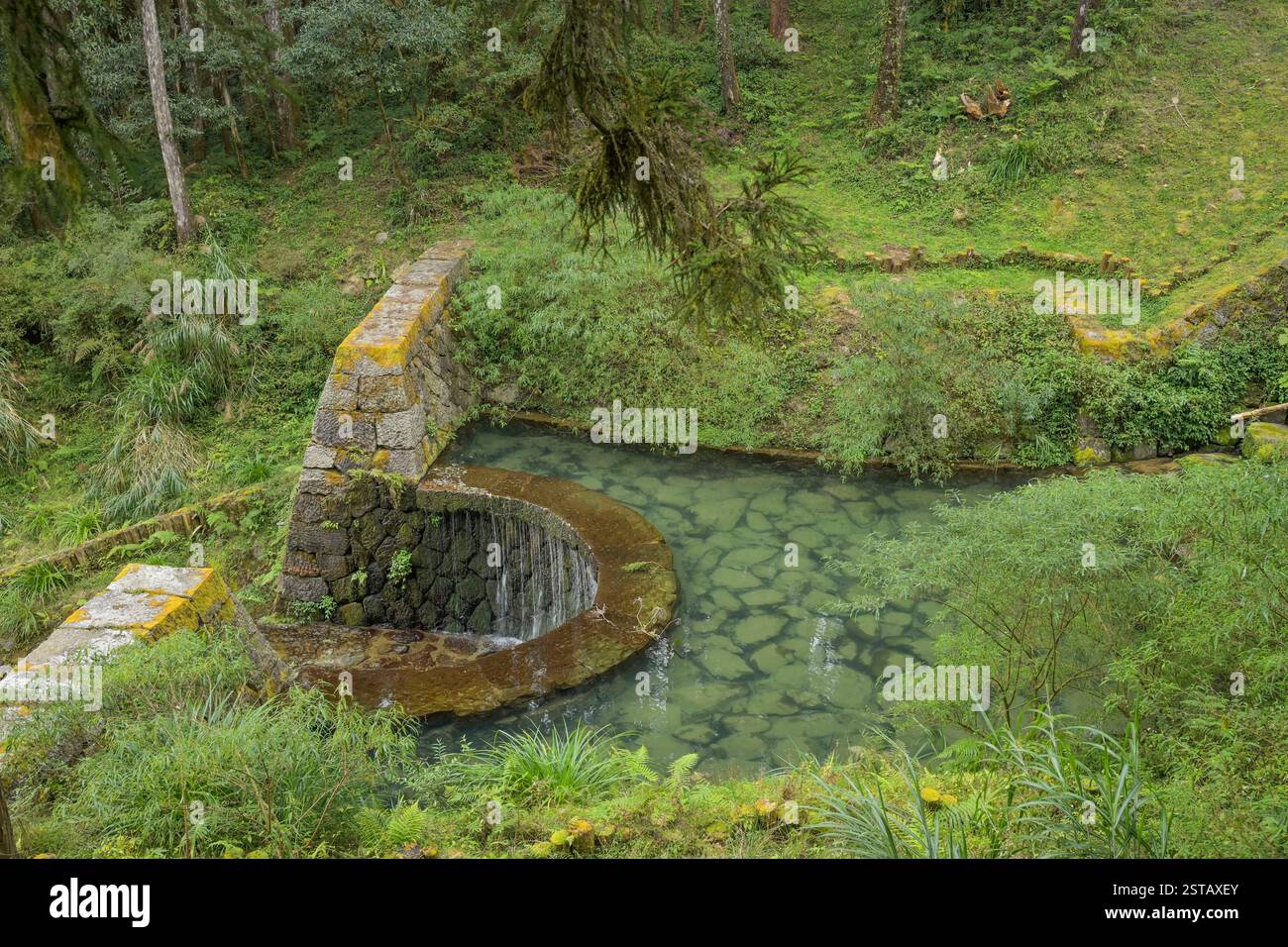 Bach, Shenyi Waterfall, Alishan National Forest Recreation Area ...