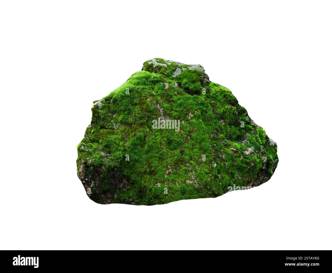 stone covered with moss isolated on white background Stock Photo - Alamy