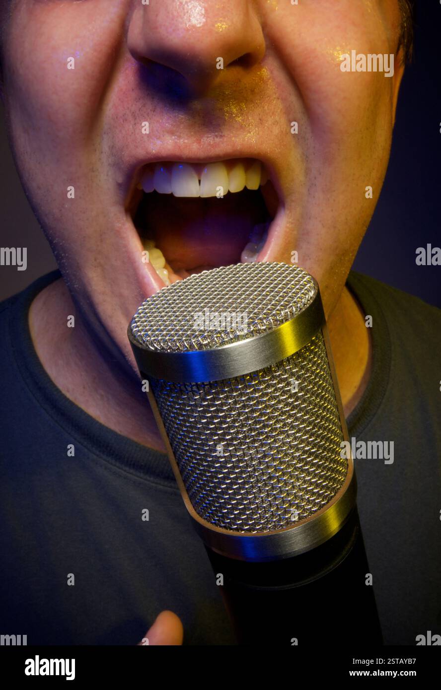 Microphone vocalist hi-res stock photography and images - Alamy