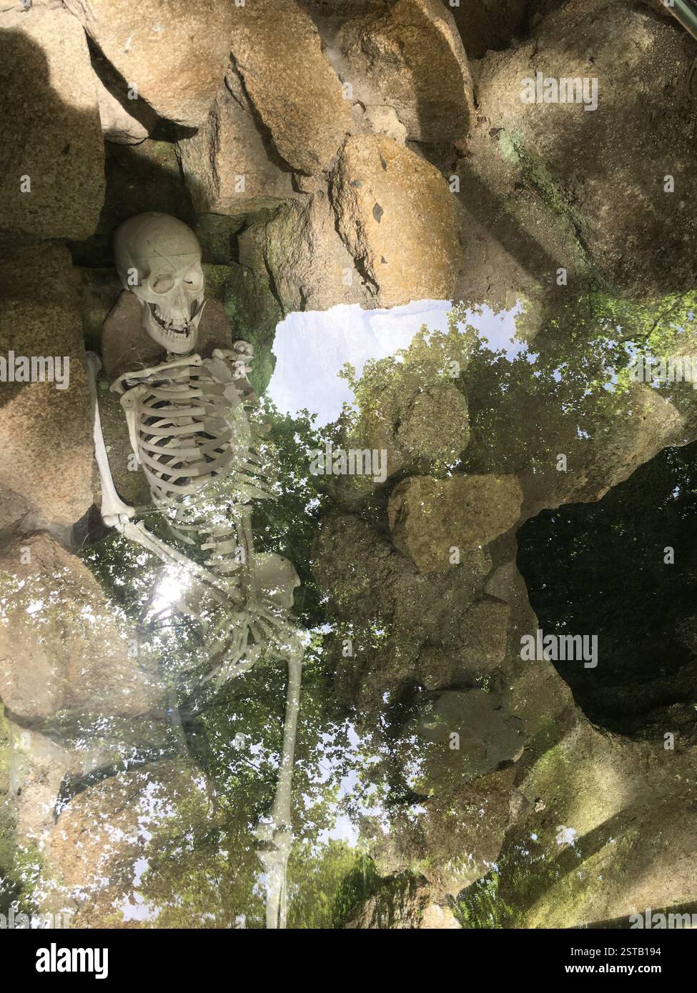Skeleton displayed in a rocky alcove with a reflective pool below ...
