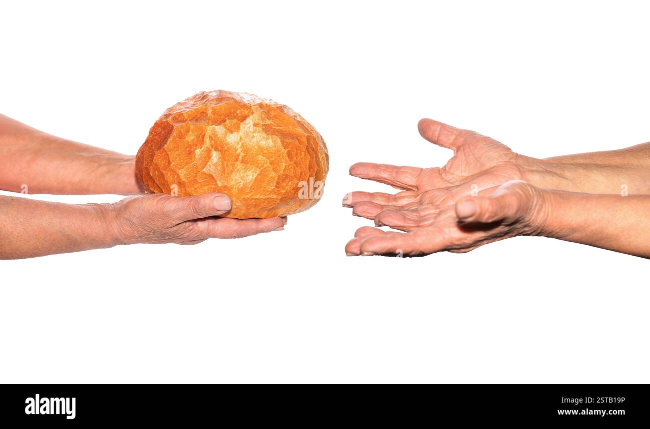 Hand holding a fresh loaf of bread, isolated on white background. Hands ...