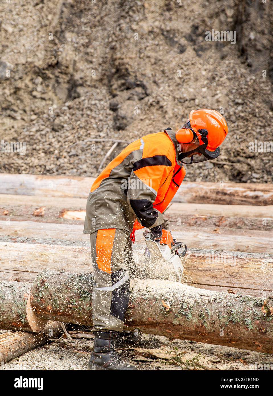 Man in uniform cuts an tree in an electric saw. Lumberjack in ...