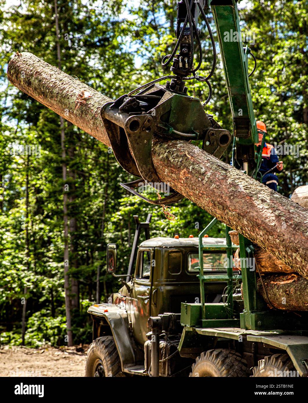 Log loader or forestry machine loads a log truck. Loading logs with a ...