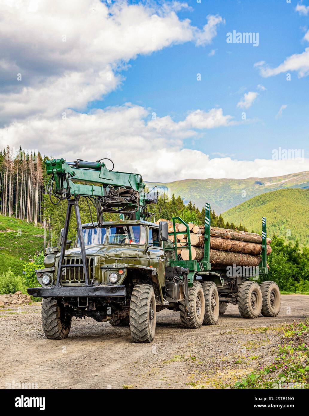 Log loader rainforest hi-res stock photography and images - Alamy