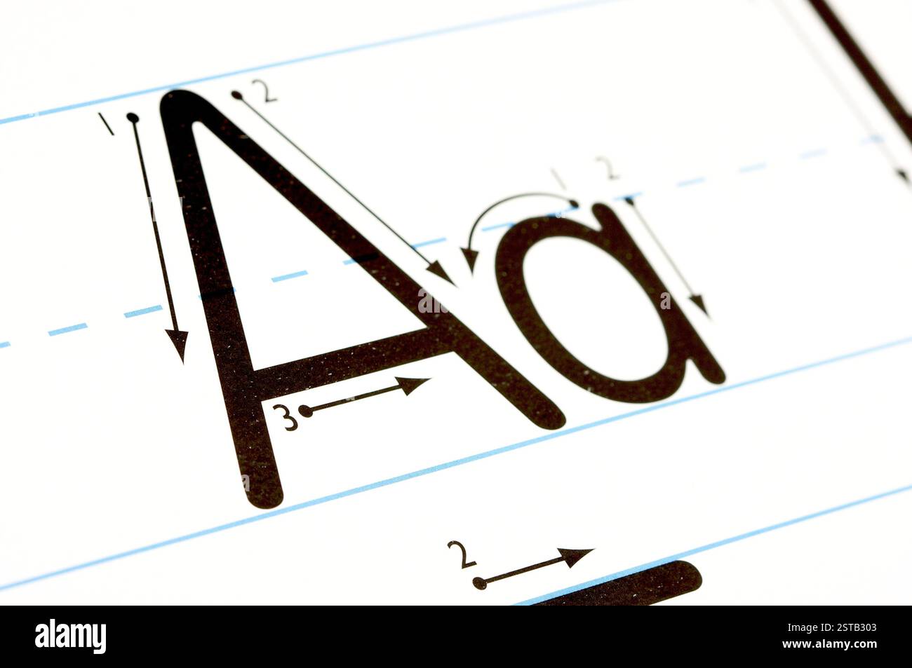 Vector chart Cut Out Stock Images & Pictures - Alamy