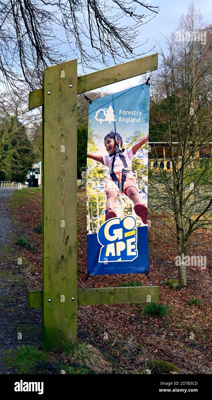 "Go Ape" advertising banner. Grizedale Forest Park, Lake District ...