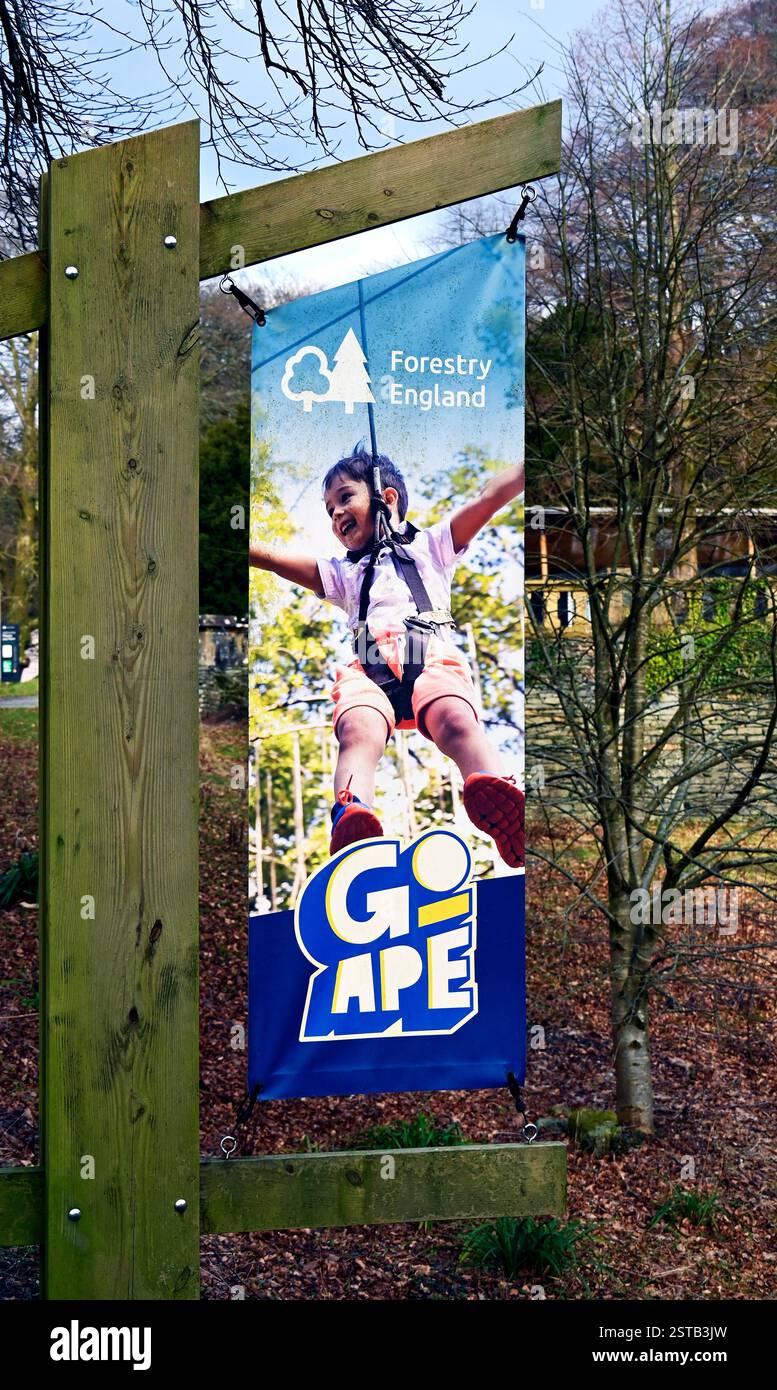 "Go Ape" advertising banner. Grizedale Forest Park, Lake District ...