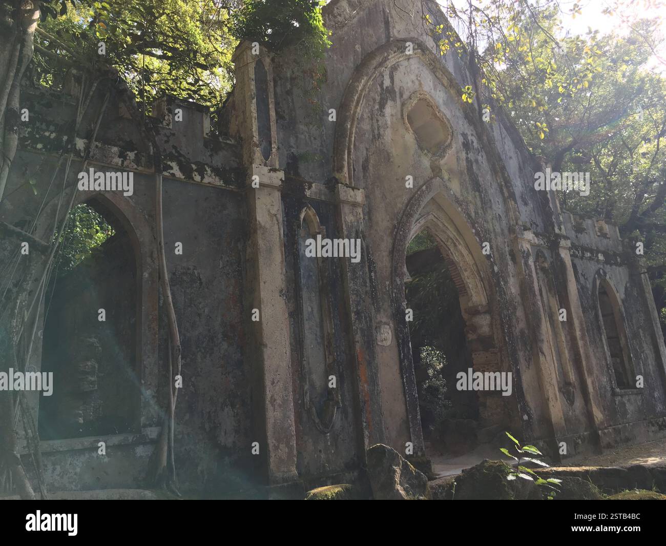 Ruined Gothic structure overgrown with vegetation in a forest. Sun ...