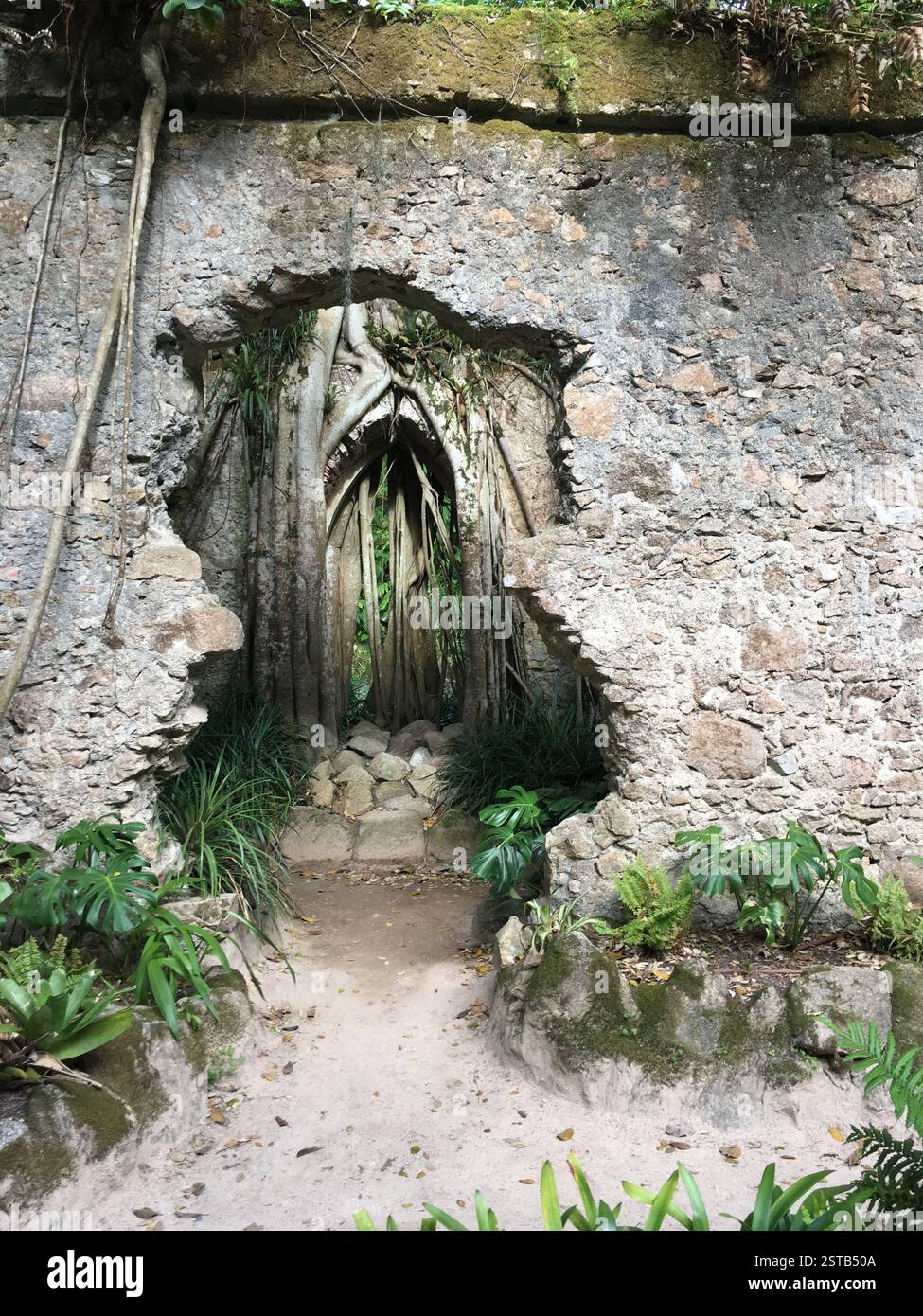 The ruined wall, overgrown with vegetation, features a stone archway ...