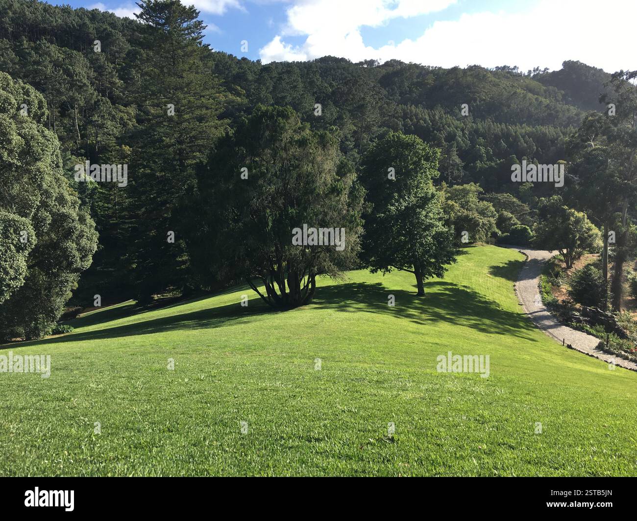 Park. Lush green lawn slopes downward towards a winding stone path ...
