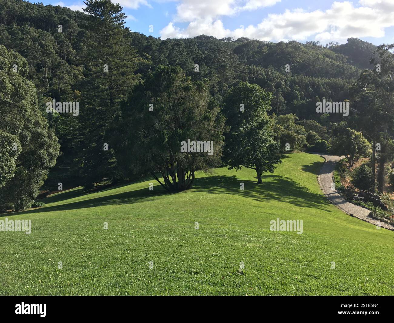 Scenic park in Sintra, Portugal. Lush green lawns slope towards a ...