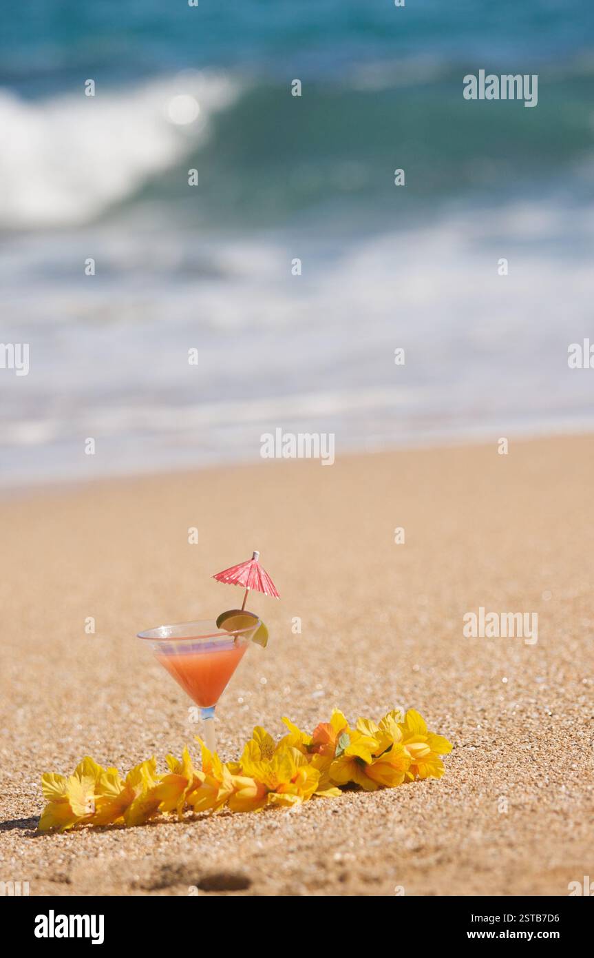 Cranberry beach hi-res stock photography and images - Alamy