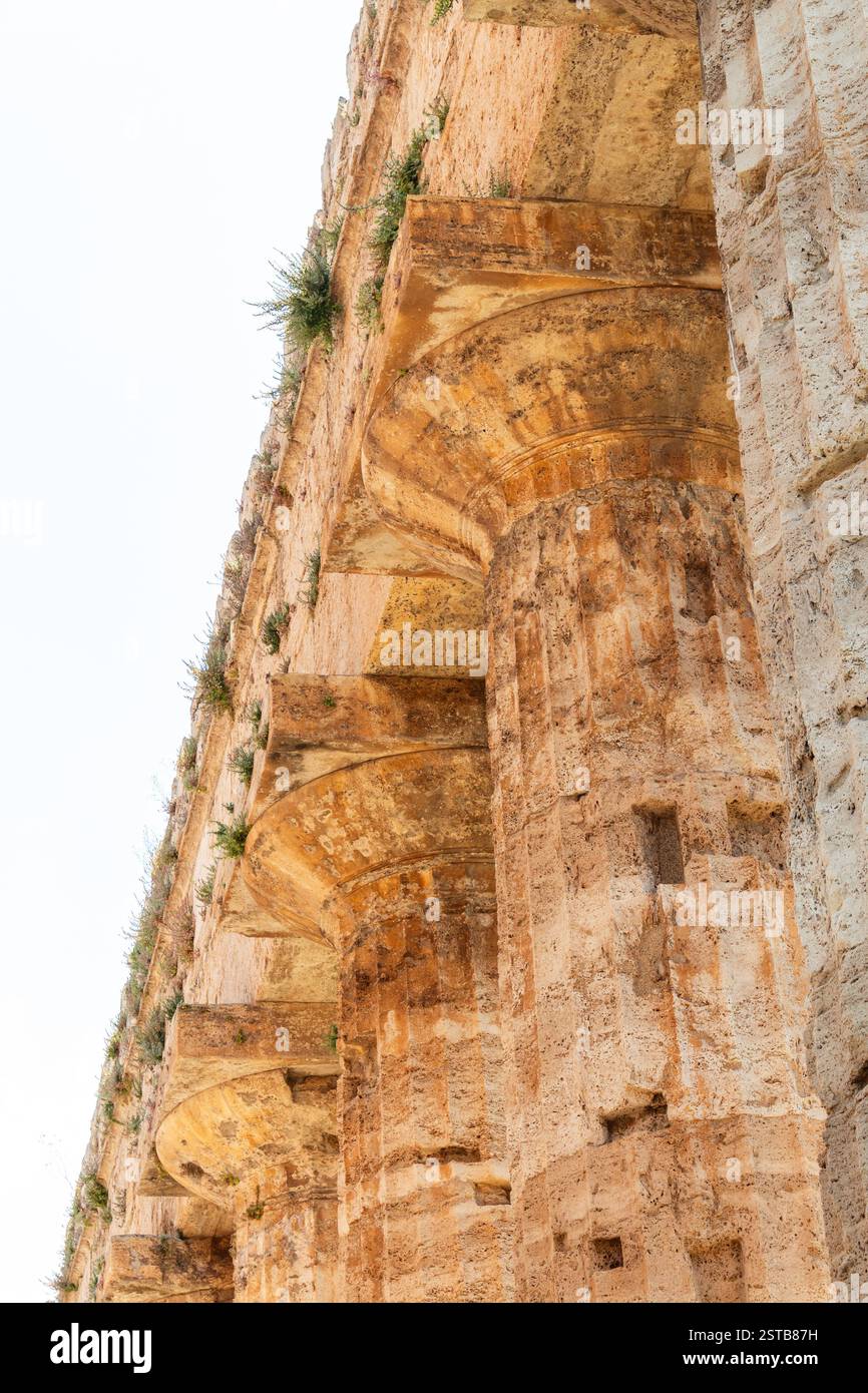 Plants grow from the Doric columns of the Second Temple of Hera (460 ...