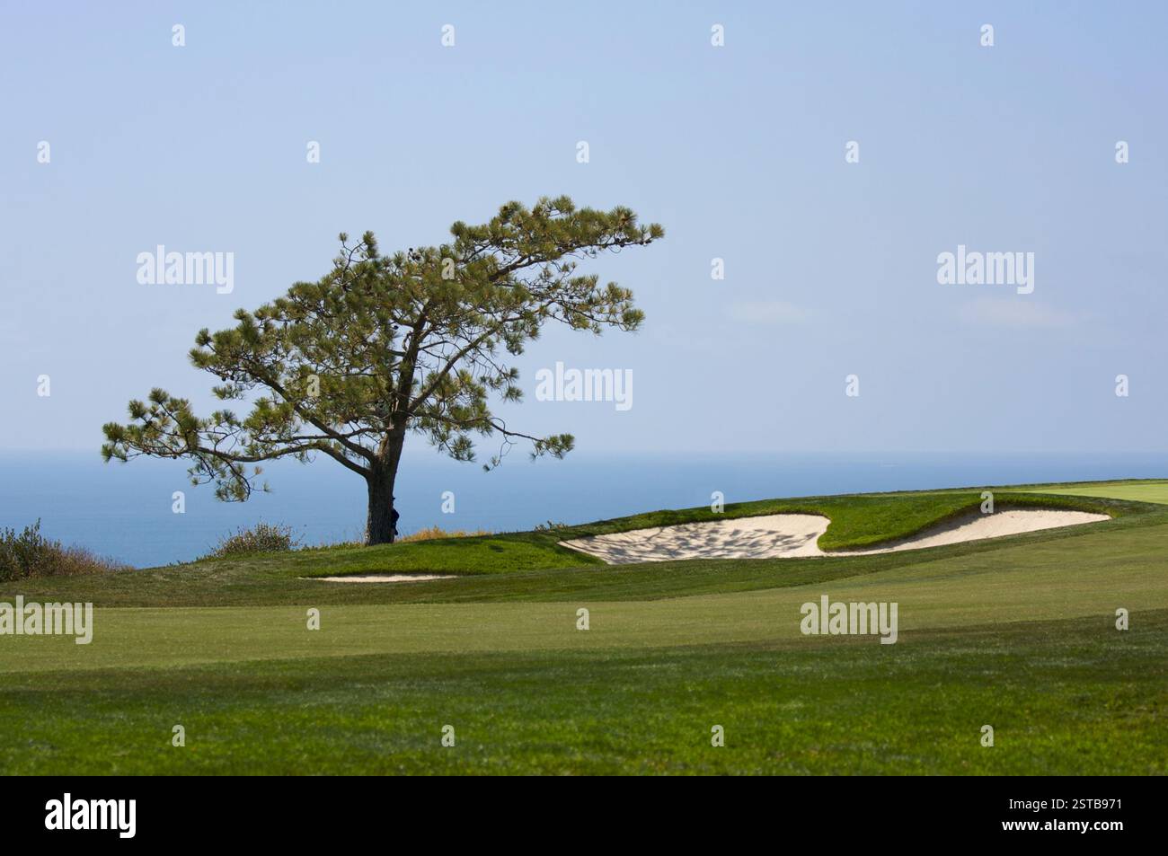 View from Torrey Pines Golf Course Stock Photo - Alamy
