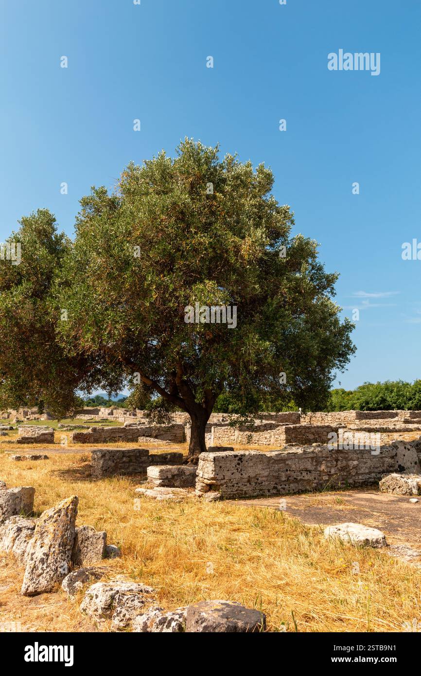 Classical greek house hi-res stock photography and images - Alamy