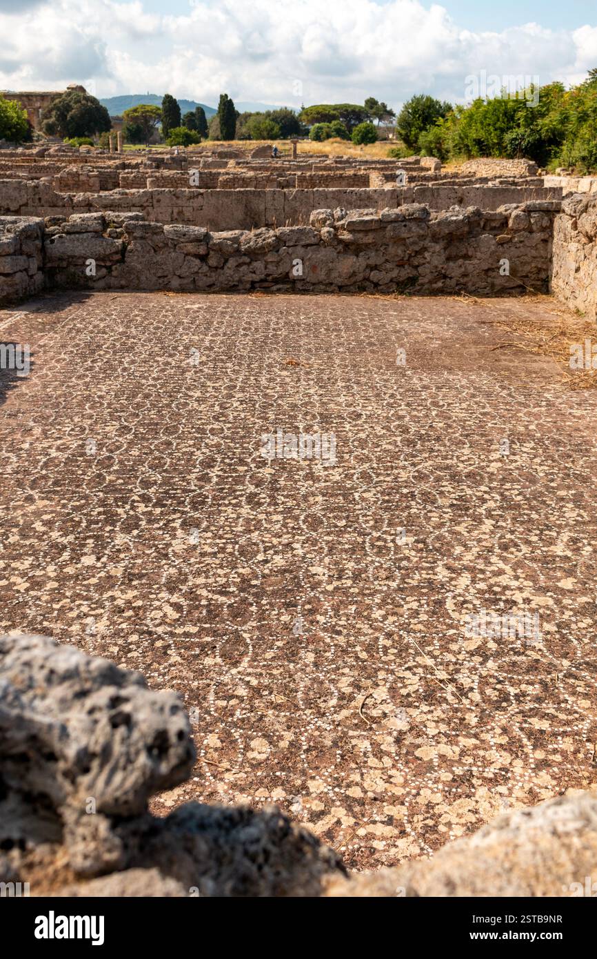 Mosaic floor of a house ruin at the ancient Greek city of Paestum ...