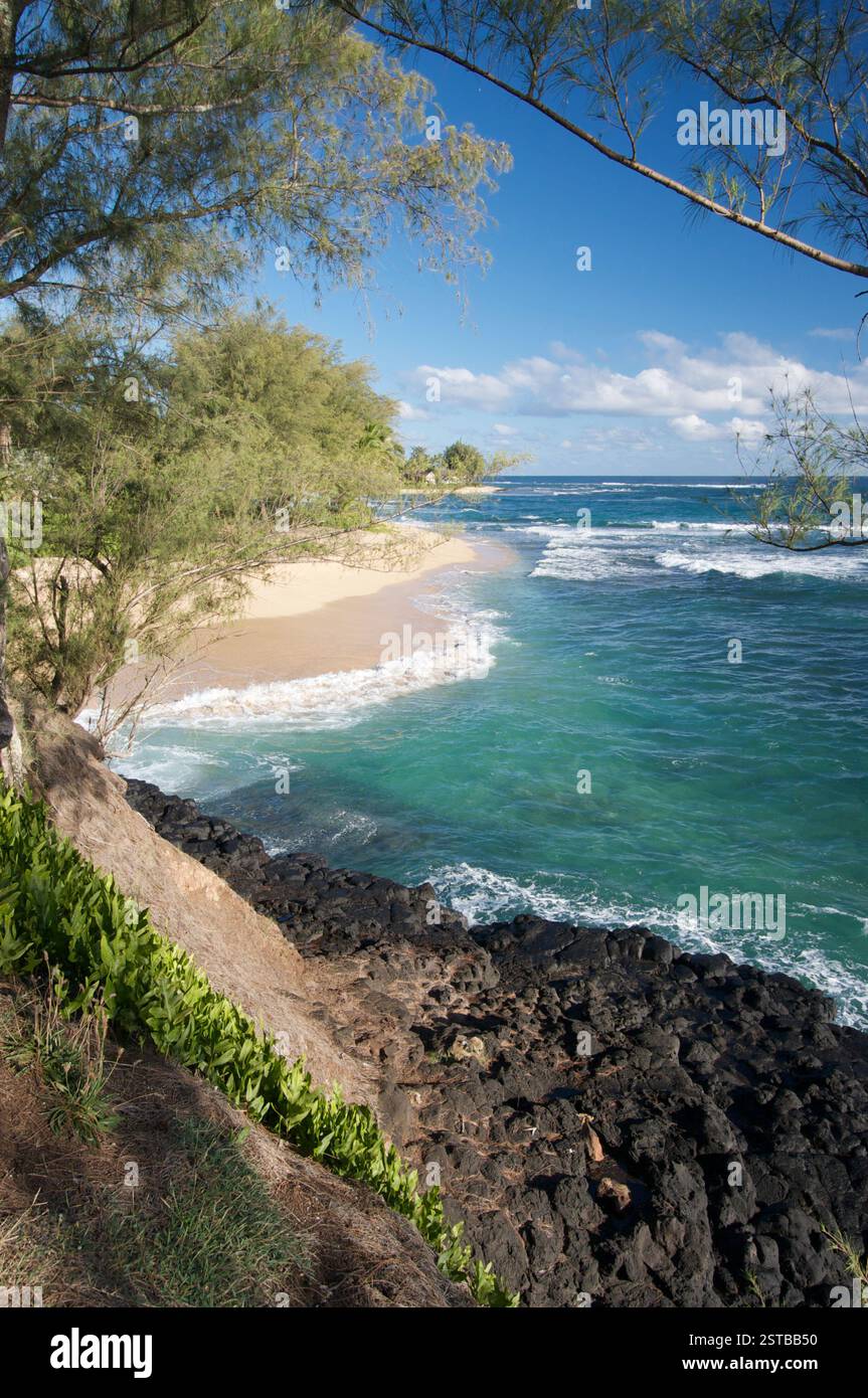 Tropical Shoreline on Kauai, Hawaii Stock Photo - Alamy