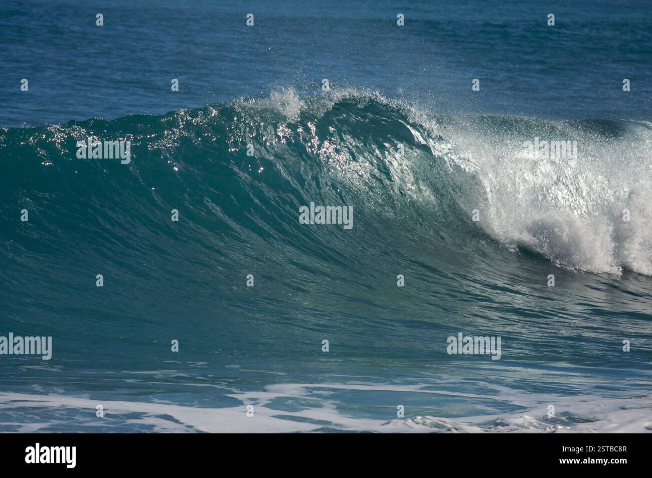 Dramatic Shorebreak Wave on a clear morning Stock Photo - Alamy