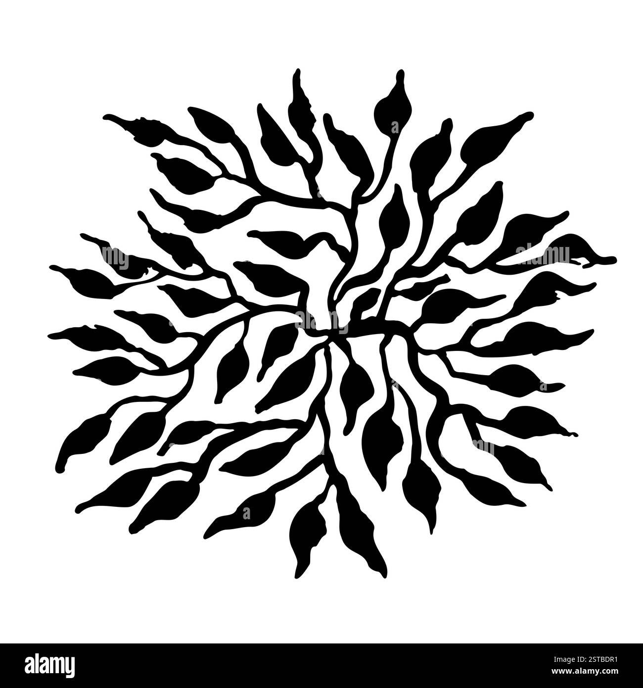 Silhouette round tropical leaves Black and White Stock Photos & Images ...