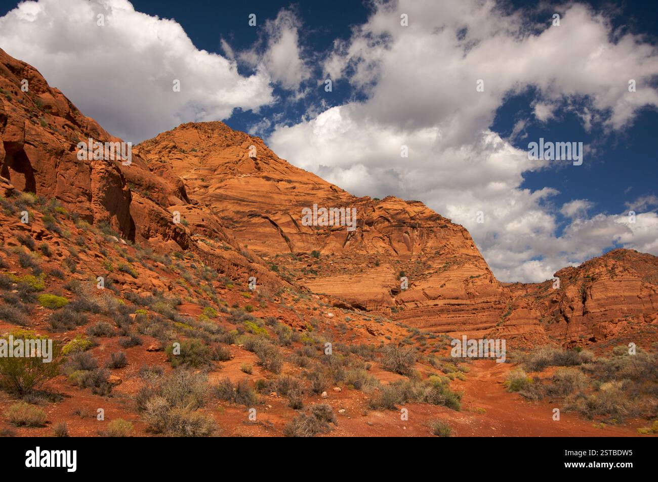 Red rocks blue sky hi-res stock photography and images - Alamy