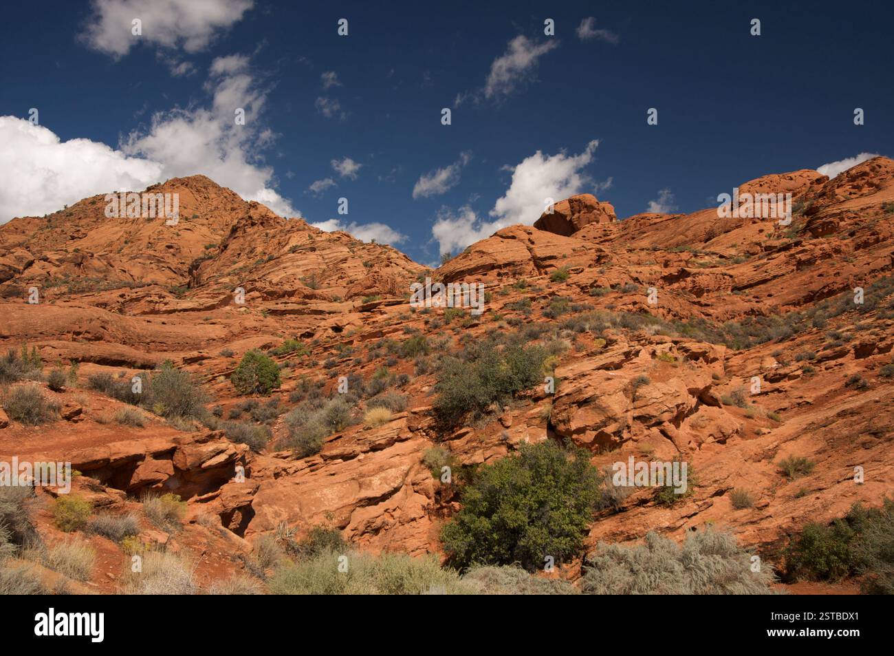 Red rocks blue sky hi-res stock photography and images - Alamy