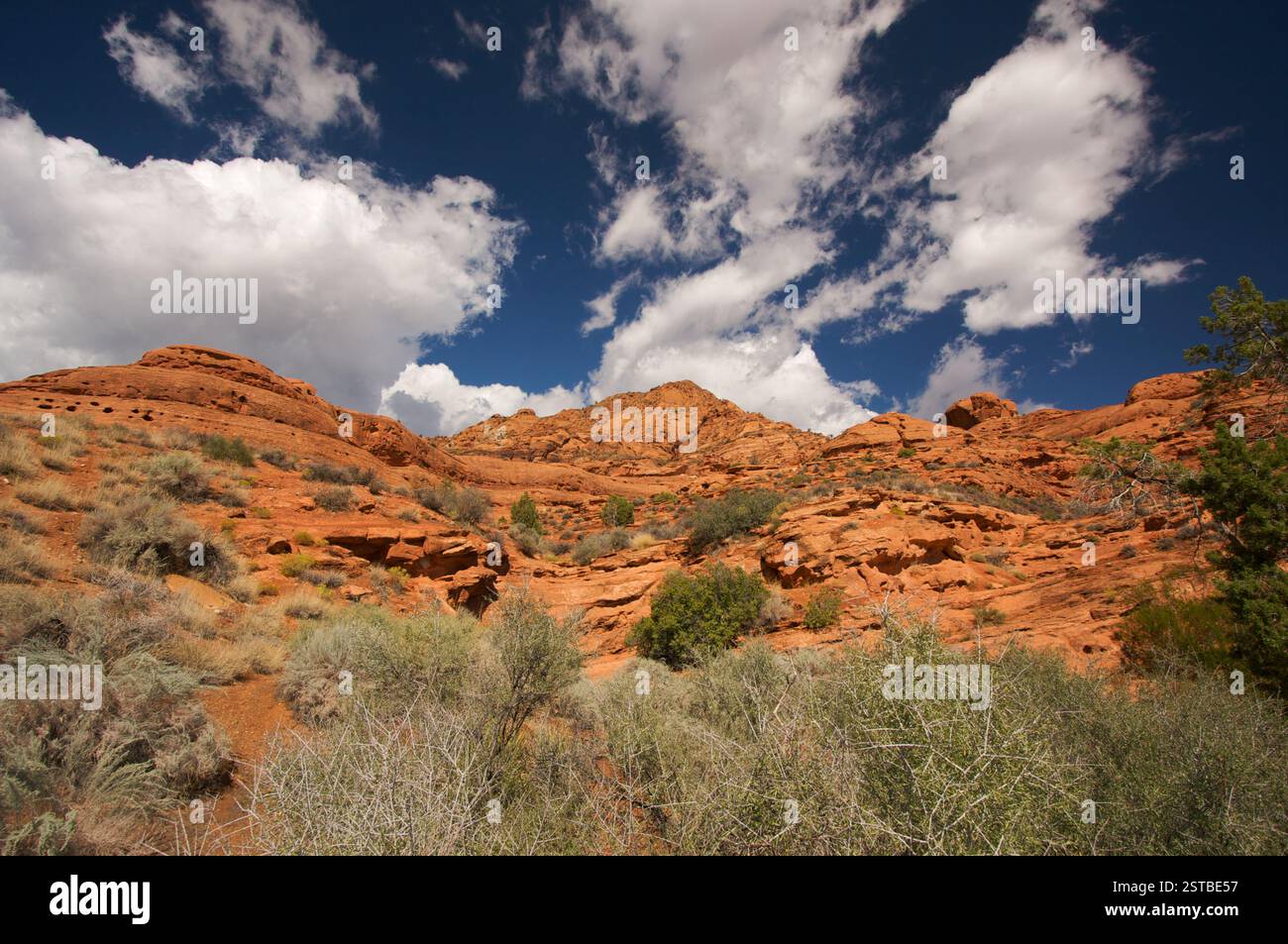 Red Rocks of Utah with Dramatic Blue Sky and Clouds Stock Photo - Alamy