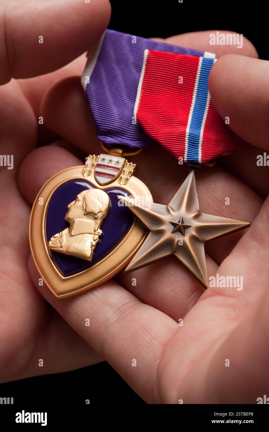 Man Holding Purple Heart and Bronze War Medals in The Palm of His Hand ...