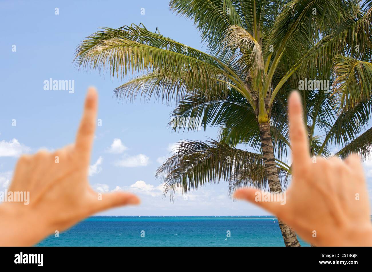 Palm trees and ocean waters hi-res stock photography and images - Alamy