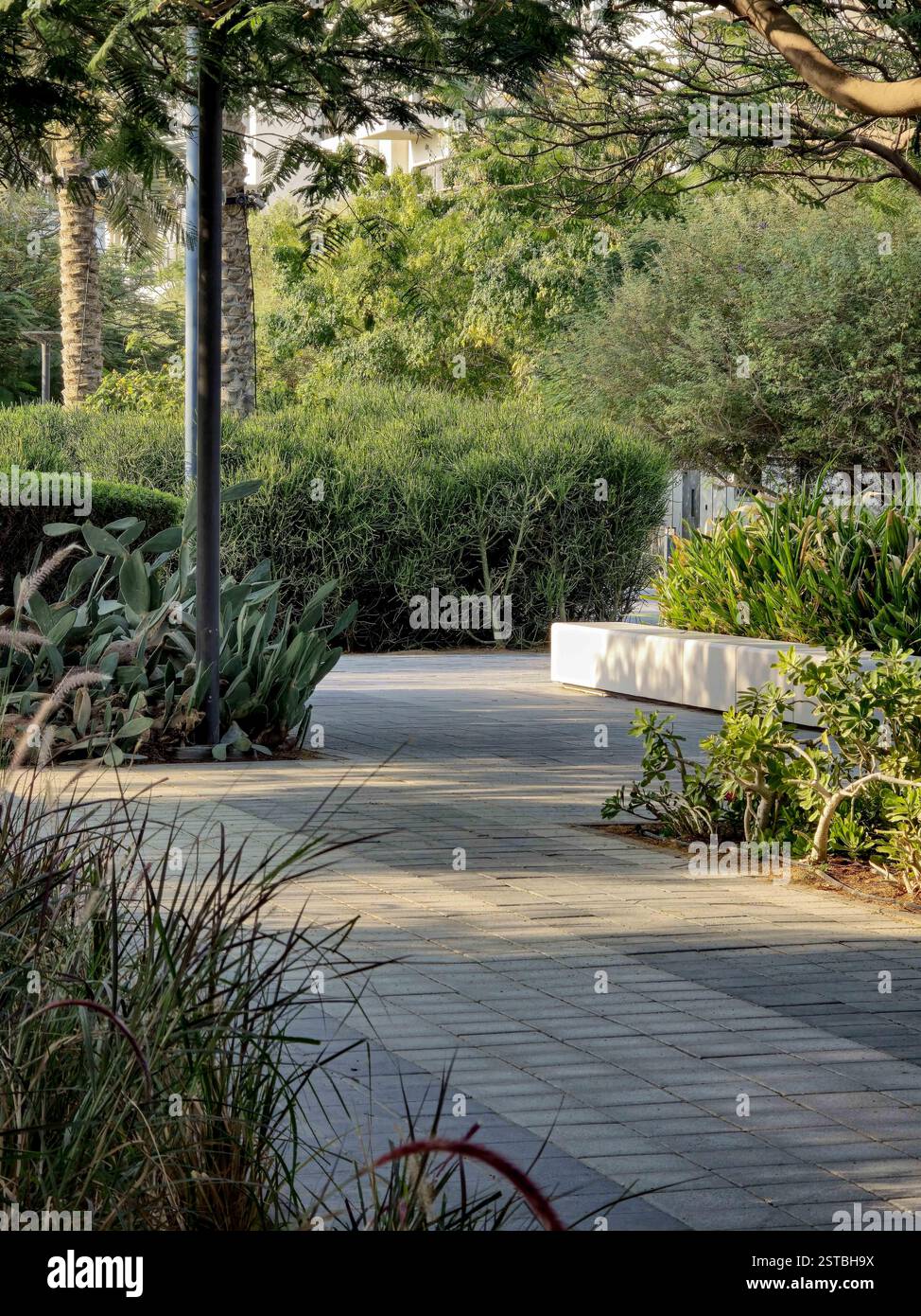 The welcoming and green public realm space in the Town Square ...