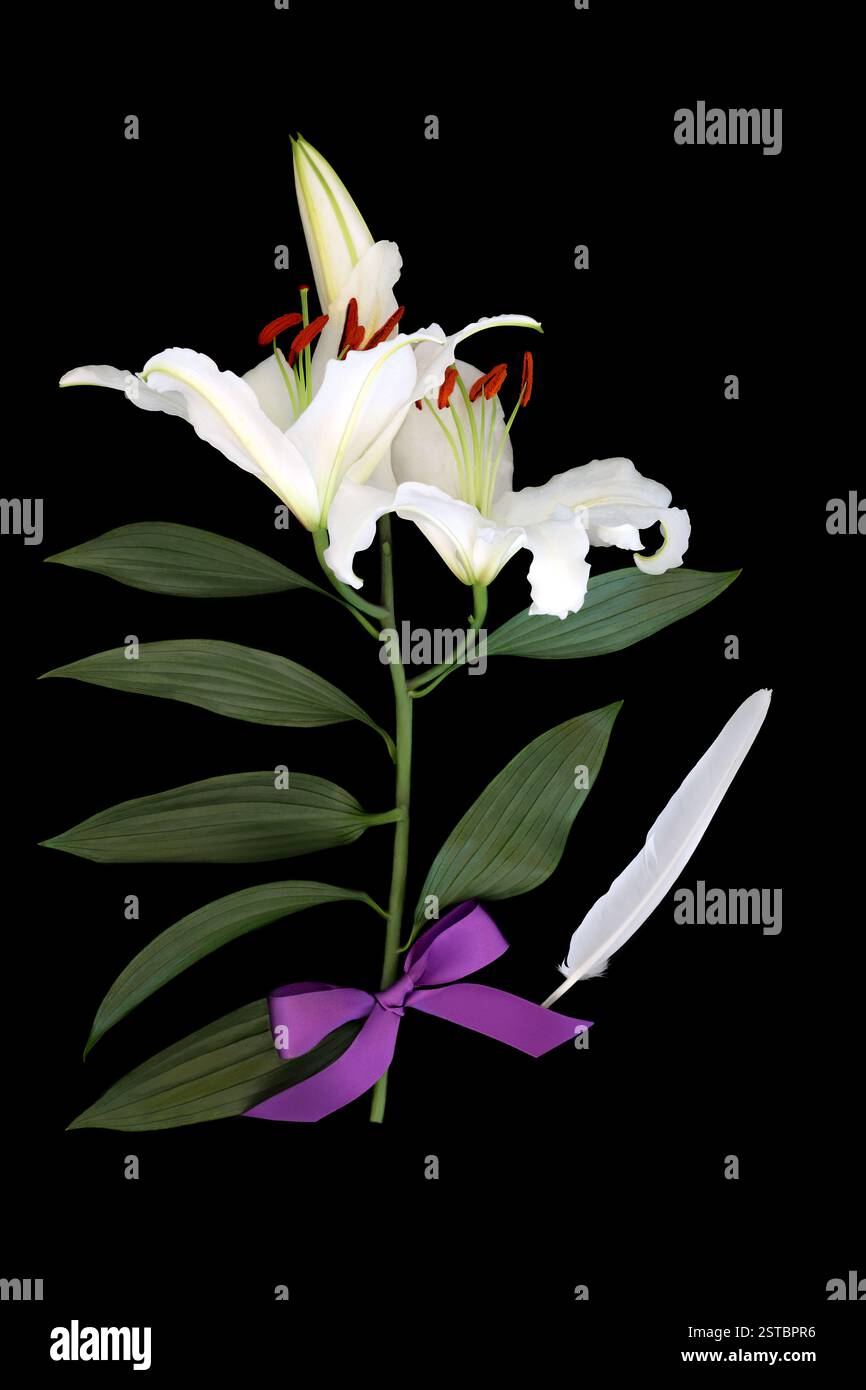 White lily flower and feather symbols for funeral remembrance card ...